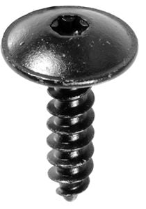 TORX Truss Head Tapping Screw M5.5 T-20 Drive – Lawson Products